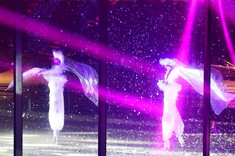 Les Féérix au Azar Club de Lyon Echassiers